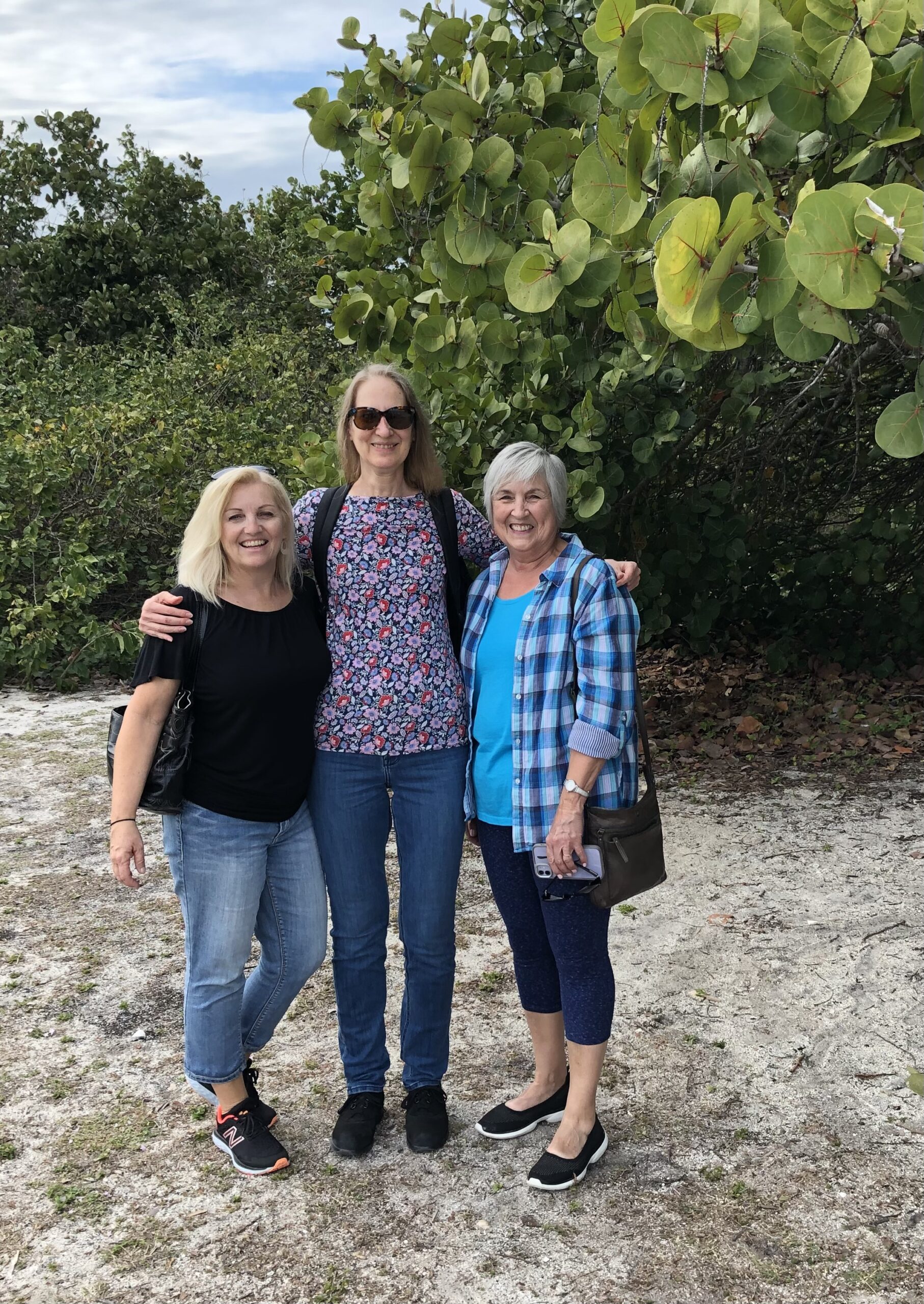 Blog | Nanette Littlestone